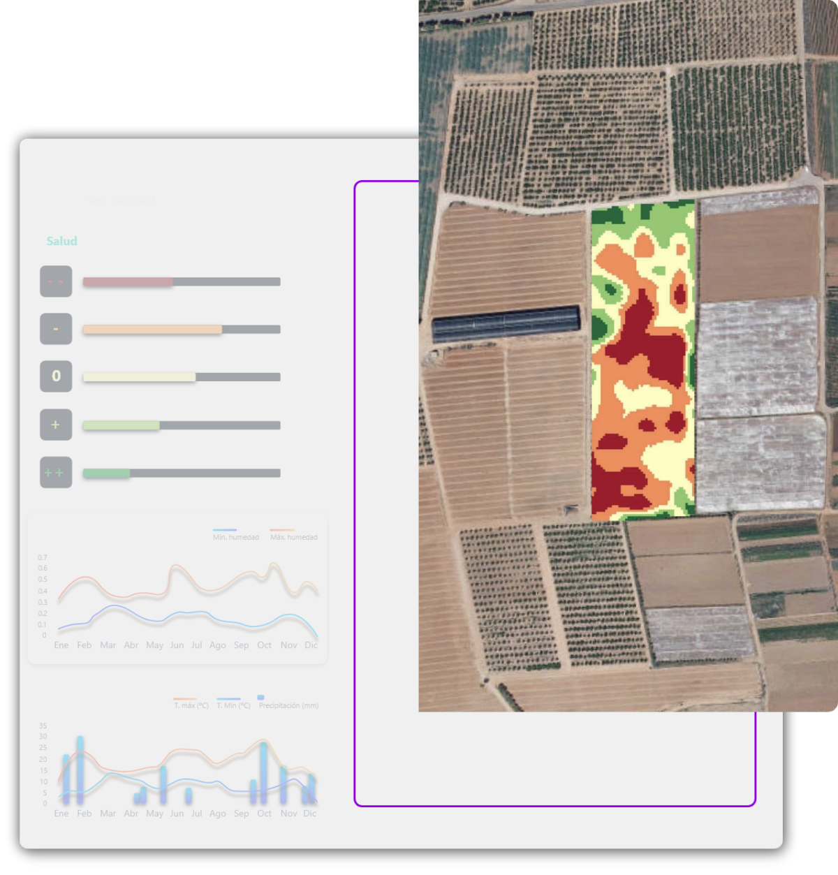 Guía de visualización de datos: qué es y ejemplos prácticos